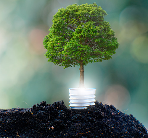 LED Lighting and Sustainability | Litetronics